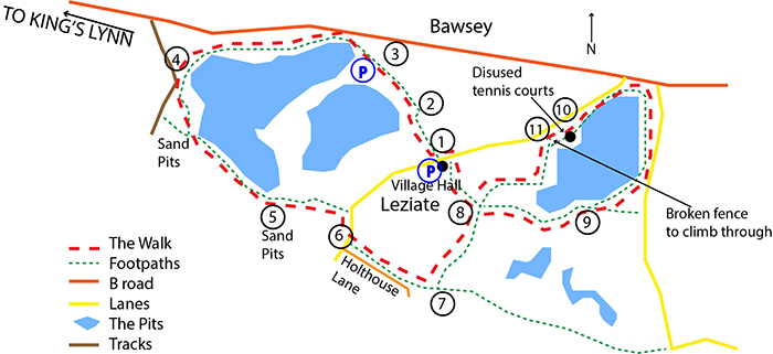 Bawsey Pits Circular Walk