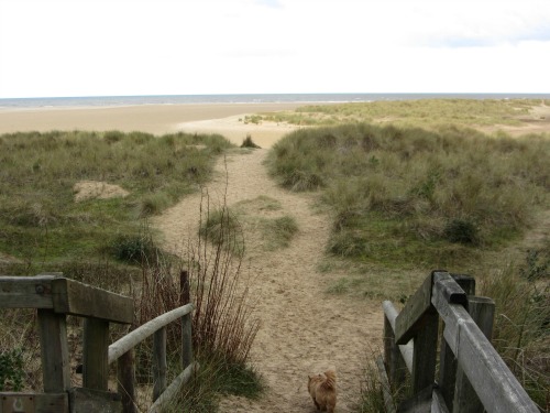 Holkham Beach, Beauty On The North Norfolk Coast