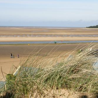Roydon Common Circular Walk
